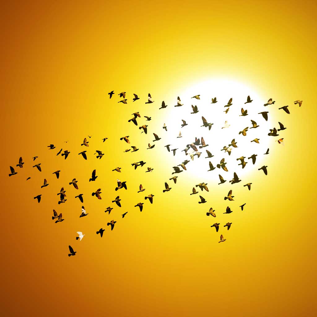 Business Process and System Management | Sapien Global Services